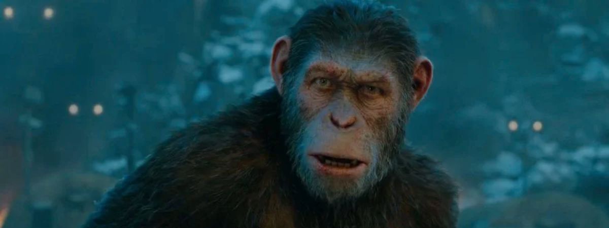 Divulgado trailer de “Planeta dos Macacos: O Reinado”, novo filme da ...